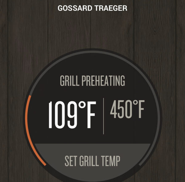 Traeger Grill Review Pellet Grill Questions Answered - Fresh Fit Kitchen